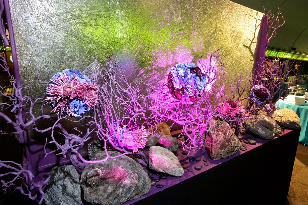 How To "Out-Reef" a Real Caribbean Reef? - Ivan Carlson & Associates